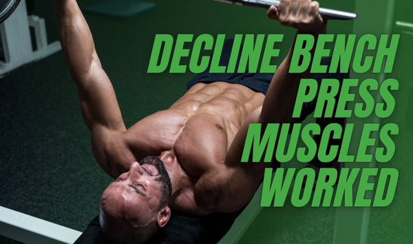 Decline Bench Press Muscles Worked | Comprehensive Guide & Benefits